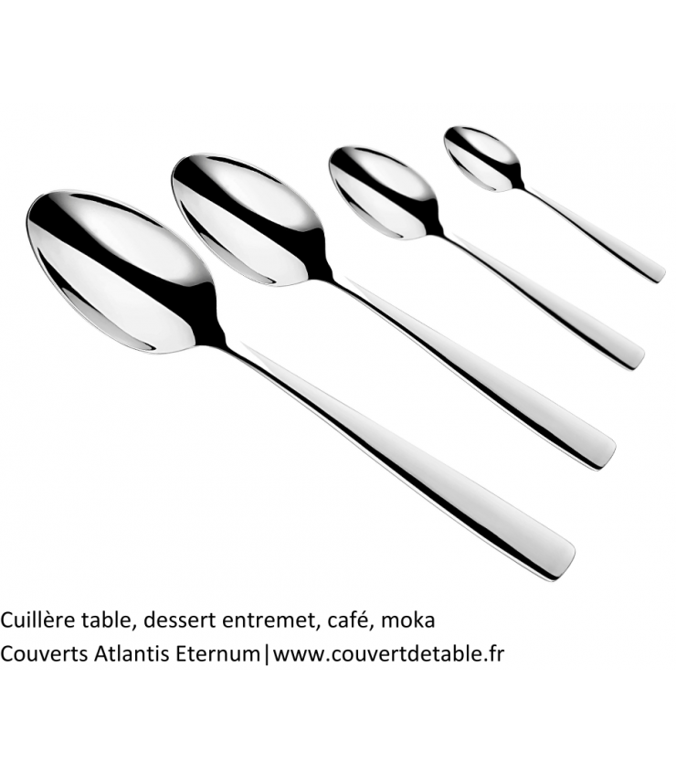 Couverts Eternum Atlantis - Inox 18/10 | Couvertdetable.fr